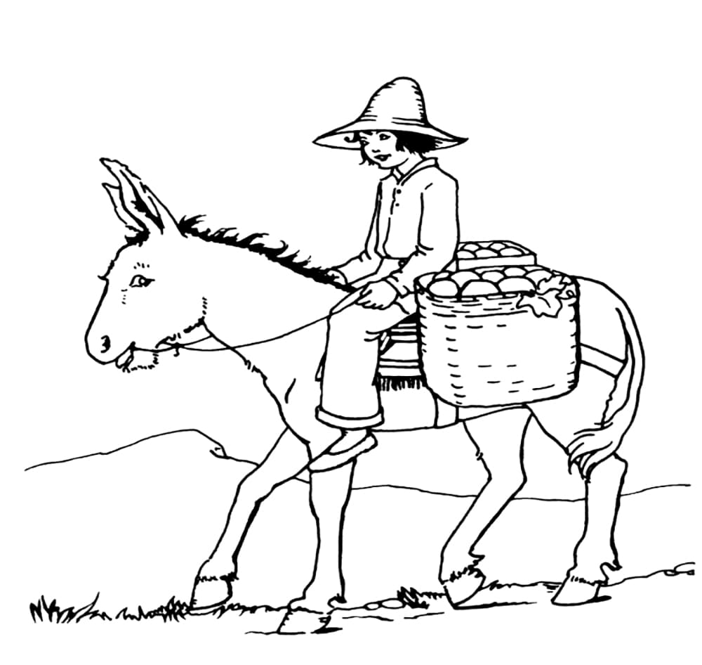 Naik keledai untuk pergi ke pasar