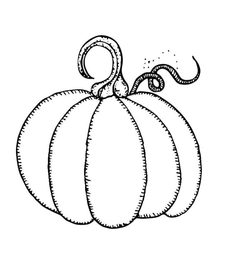 Labu Kuning Cetak Gratis