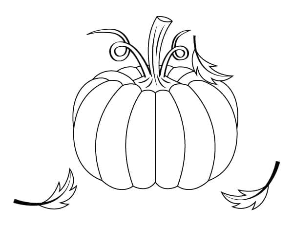 Labu Kuning dan Berkas Gandum