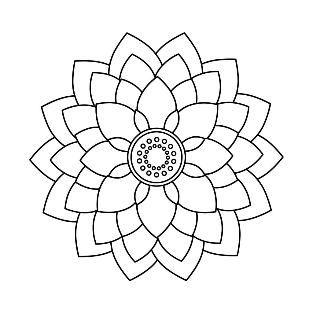 Bunga Teratai Tampak Atas